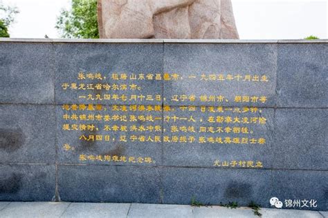 追忆张鸣岐 党和人民的好儿子 搜狐大视野 搜狐新闻