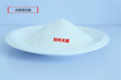 水解蛋白酶 郑州天顺食品添加剂生产厂家