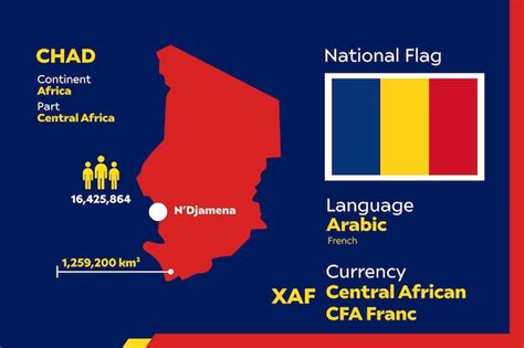 차드 인포그래픽 프리미엄 벡터
