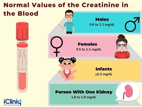 Solved Given The Following Data Calculate The Creatinine 59 Off