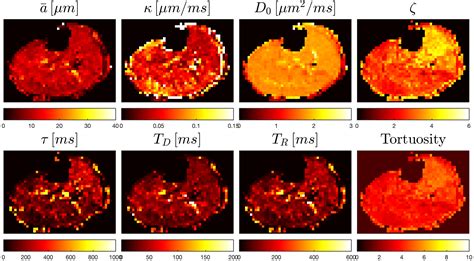 Github Nyu Diffusionmri Rpbm Random Permeable Barrier Model For Time Dependent Diffusion