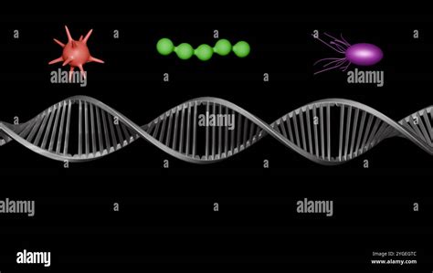 Precision Microbiome Editing Dna Strand With Various Bacteria Microbes And Viruses 3d Render