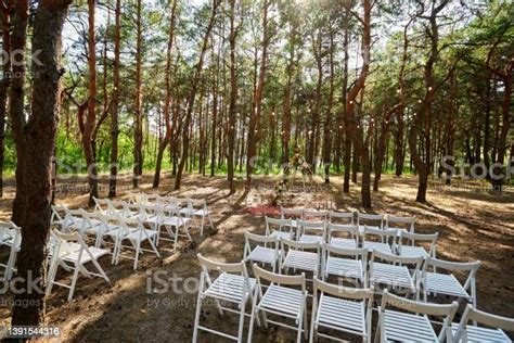 소나무 숲의 야외 결혼식 장소에서 콘이있는 아름다운 보헤미안 티피 아치 장식 의자 장미 카펫 문자열 요정 조명의 꽃 꽃 구성 여름 시골 결혼식 0명에 대한 스톡 사진 및