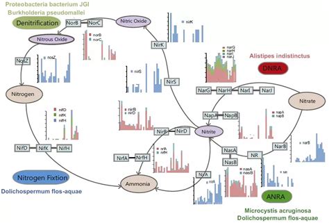 宏基因组高分文章里的小技巧 知乎