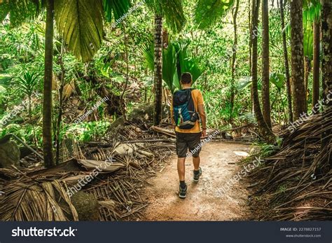 Man Walking On Path Jungle Surrounded Stock Photo 2278827157 Shutterstock