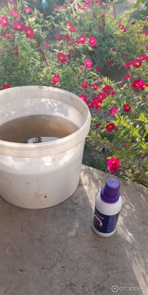 Отзыв о Витамины для растений Аминосил Для петуний Отличный комплекс