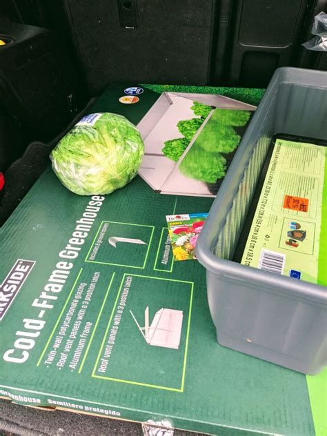 LIDL Garden Finds Outdoor Plants Flowers More Bunny S Garden