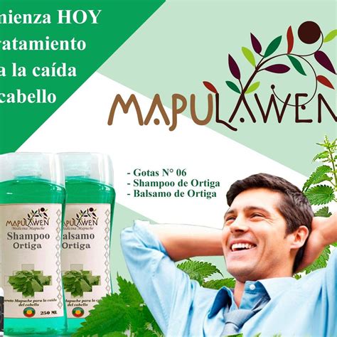 Mapulawen Medicina Ancestral Mapuche Valdivia