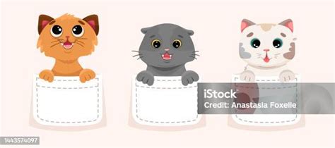 주머니 안에 귀여운 새끼 고양이 아기 프린트 또는 티셔츠 디자인을 위한 손으로 그린 고양이 카와이 스타일의 벡터 만화 그림 0명에 대한 스톡 벡터 아트 및 기타 이미지