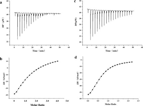 Typical Itc Raw Data For Binding Of Malonate To Matp Upper Panel And Download Scientific