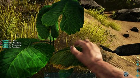 How To Find Food And Water In Ark Survival Evolved GamesRadar