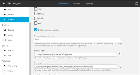 If Jellyfin Is Installed To A Path With Spaces Like Cprogram Files