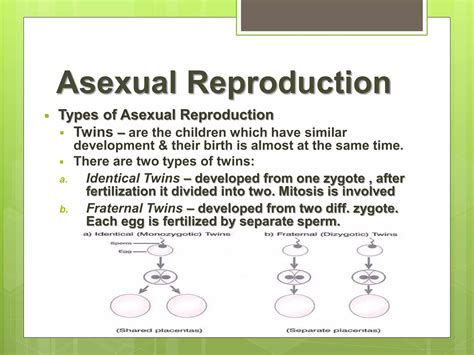 Asexual Reproduction In Animals Quick Review Ppt