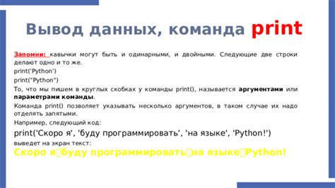 Python 310 Урок № 2 Команды Printinput