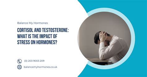 What Are Normal Testosterone Levels In Women Balance My Hormones