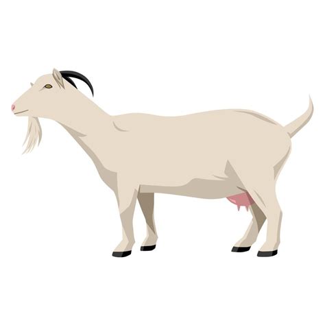 He Goat Vector Art Icons And Graphics For Free Download