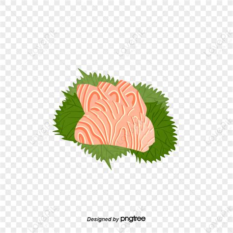 신선한 연어초록하얀디자인 Png 일러스트 무료 다운로드 Lovepik