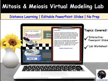 Results For Science For Real Virtual Lab Mitosis TPT