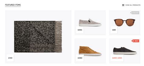 Best WooCommerce Responsive Themes WordPress Meer S World