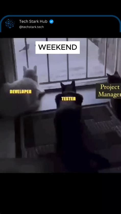 Tech Stark Hub Bugs Surprise Bugs Bugmemes Programmerlife Programmingmemes Programmer