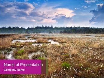 Puffy Cotton Grass PowerPoint Template Backgrounds Google Slides ID 0000087440