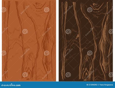 Texture Of The Tree Background Stock Vector Illustration Of Pattern Surface 21394393