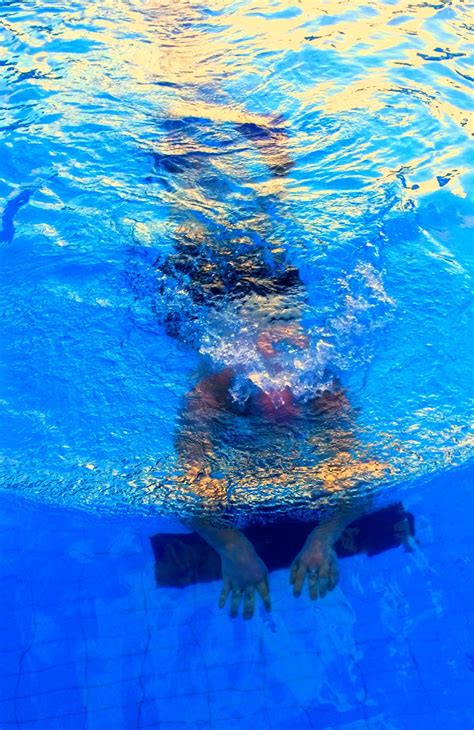 무료 이미지 바다 대양 풀 수중 수영장 푸른 수상 스포츠 야외 레크리에이션 해양 생물학 1639x2526 668993 무료 이미지 Pxhere