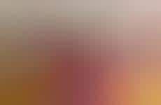 Alice In Wonderland Fantasies For Adults