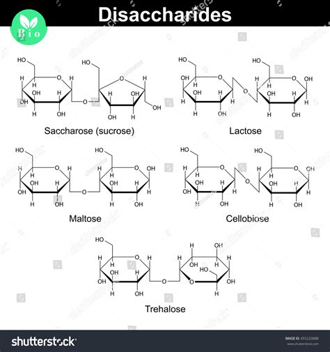 Chemical Formulas Of Main Disaccharides Sucrose Lactose Maltose