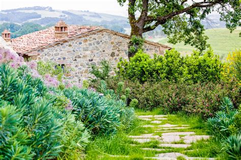 9 plantes pour une haie qui pousse vite Détente Jardin