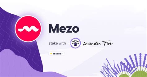 Mezo Validator Tools And Documentation Lavenderfive Nodes