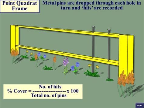 Ocr A Biology Ecosystems Flashcards Quizlet