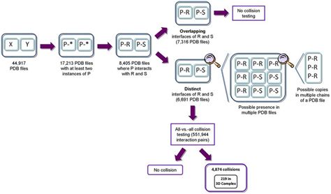 Overview And Results Of Our Structure Collision Approach The Flow Download Scientific Diagram