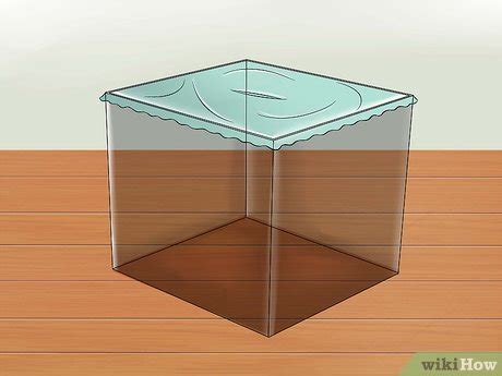 Ways To Catch A Wild Lizard And Hold It WikiHow Pet