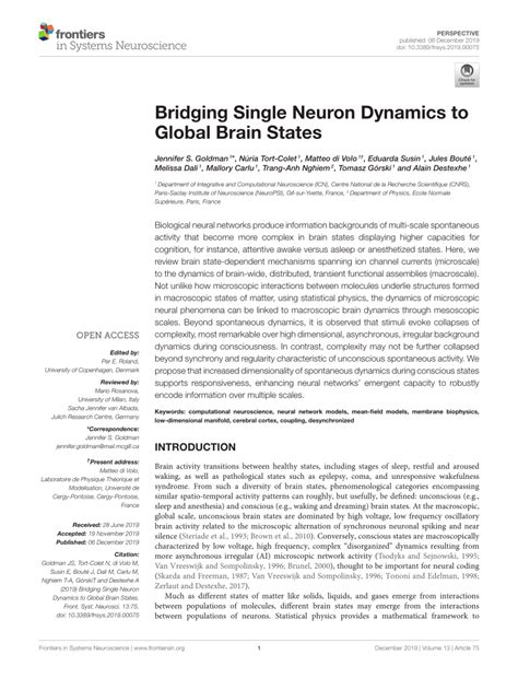 Pdf Bridging Single Neuron Dynamics To Global Brain States