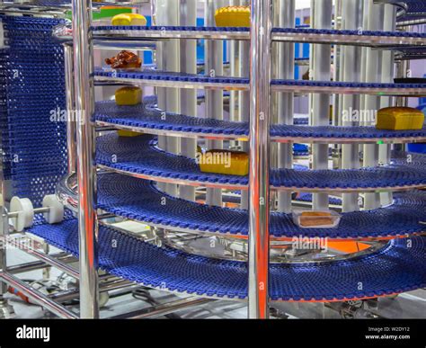 Conveyor Belts In Food Processing At Robert Bence Blog