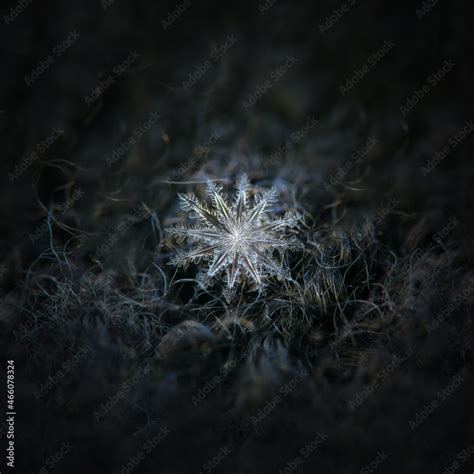 Snowflake Glowing On Dark Textured Background Macro Photo Of Real Snow Crystal Double Stellar