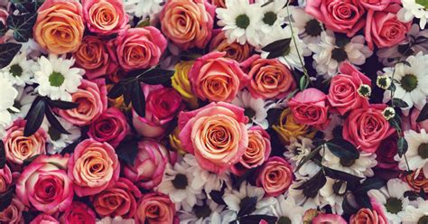 4 настай хүүхдийн онцлог