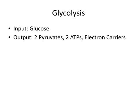 agenda 2 14 cell respiration warm up overview of cellular respiration ppt download