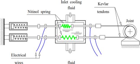 figure 1 from modeling and control of shape memory alloy actuators a
