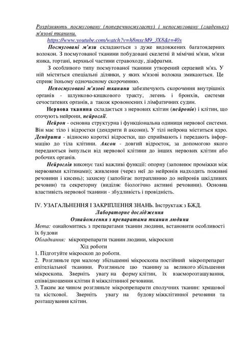 Конспекти уроків біологія 8 клас Конспект Біологія