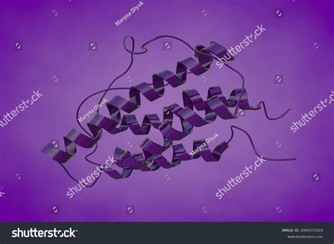 Crystal Structure Human Erythropoietin Epo Epoetin 库存插图 2065372418 Shutterstock