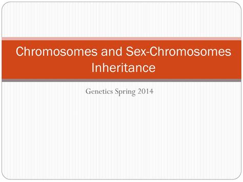 Ppt Chromosomes And Sex Chromosomes Inheritance Powerpoint Presentation Id 5504071