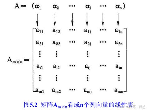 数组的基本知识 Csdn博客