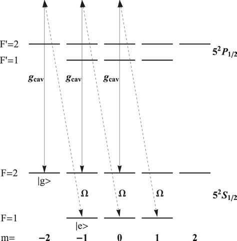 level scheme of the 87 rb d1 transitions relevant for the