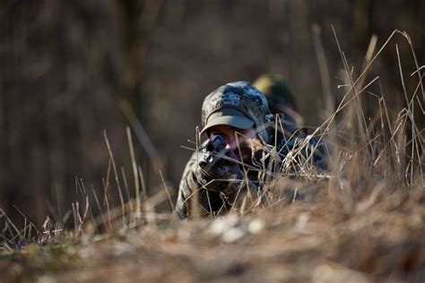 What Is Sight Alignment Ilearntohunt