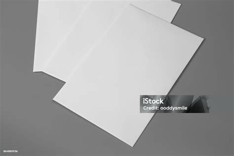 빈 초상화입니다 변경 배경 회색에 고립 된 백서 아이덴티티 디자인 기업 서식 회사 스타일 소책자 빈 흰색 접는 종이 전단지의 설정 0명에 대한 스톡 사진 및 기타 이미지