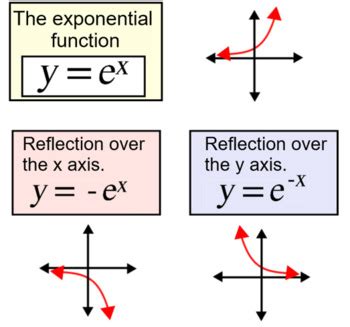 Y Axis Reflection