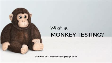 The QA Software Testing Checklists Sample Checklists Included