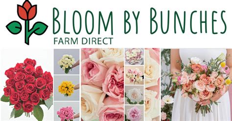 Mix And Match Combo Box